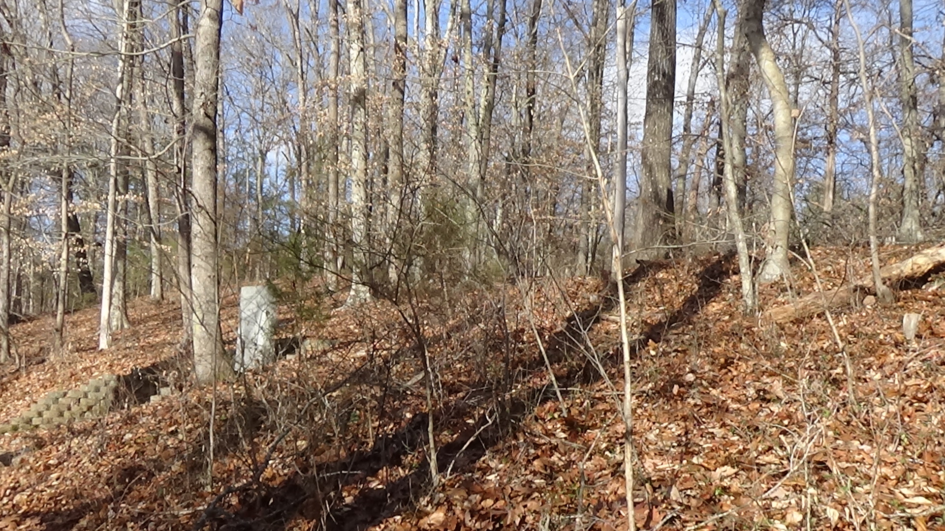 Battle of Lindley’s Mill | American Revolution Tour of N.C.