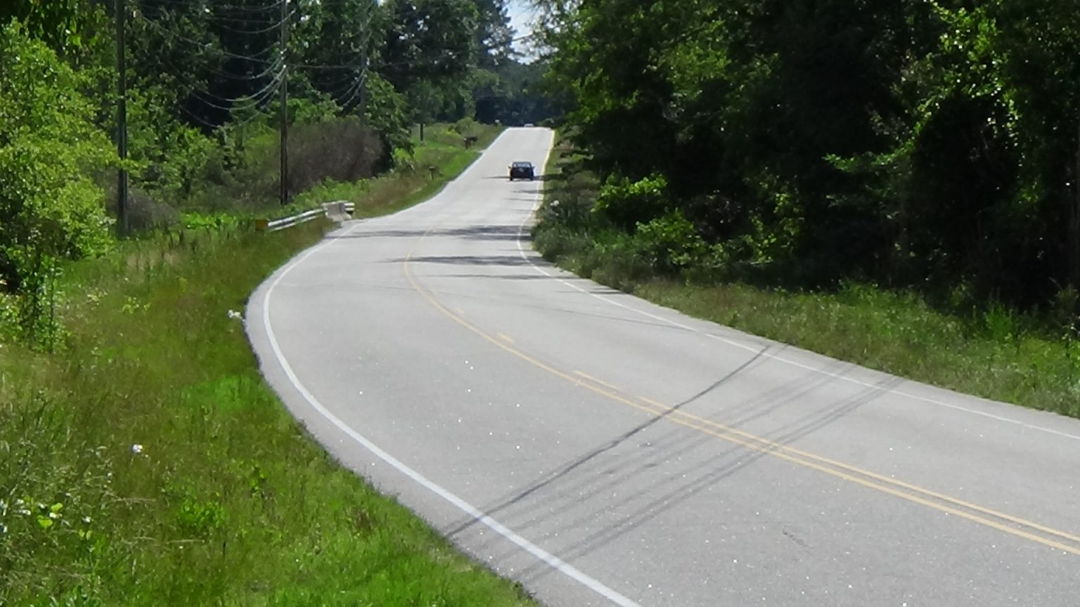 Battle of Raft Swamp | American Revolution Tour of N.C.