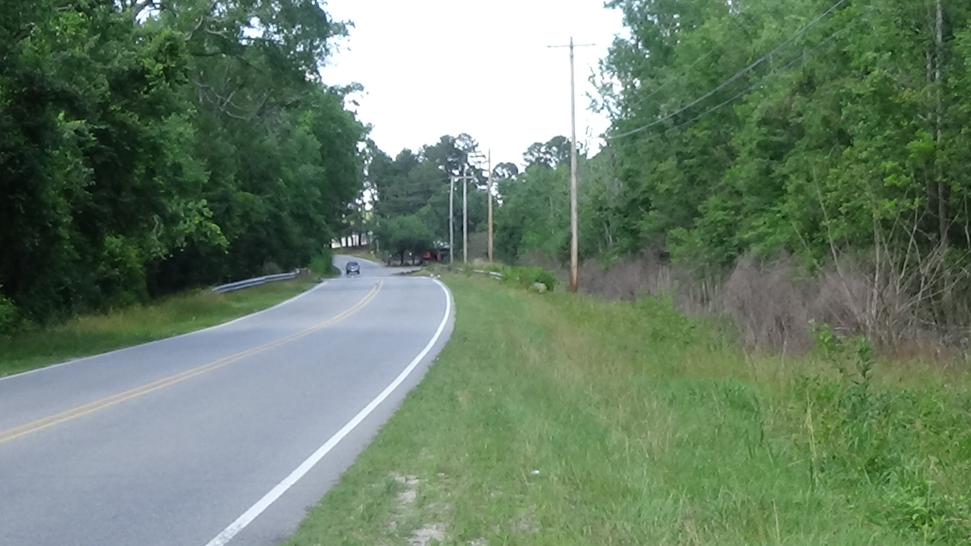 Battle of Raft Swamp | American Revolution Tour of N.C.