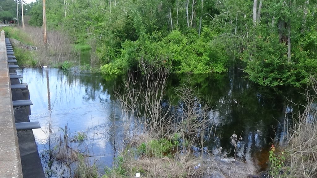 Battle of Raft Swamp | American Revolution Tour of N.C.