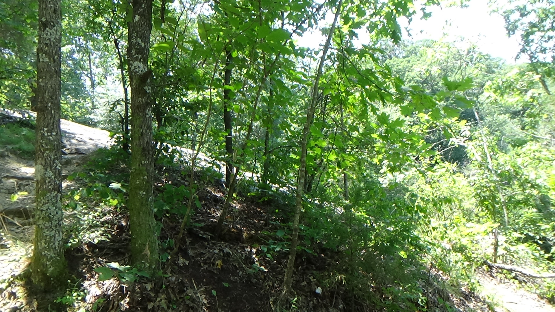 Faith Rock | American Revolution Tour of N.C.