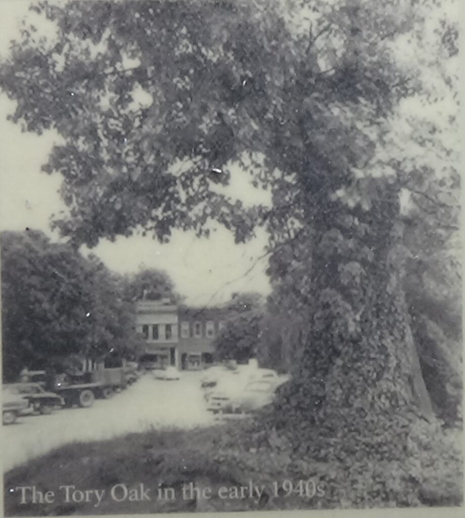 Tory Oak | American Revolution Tour of N.C.